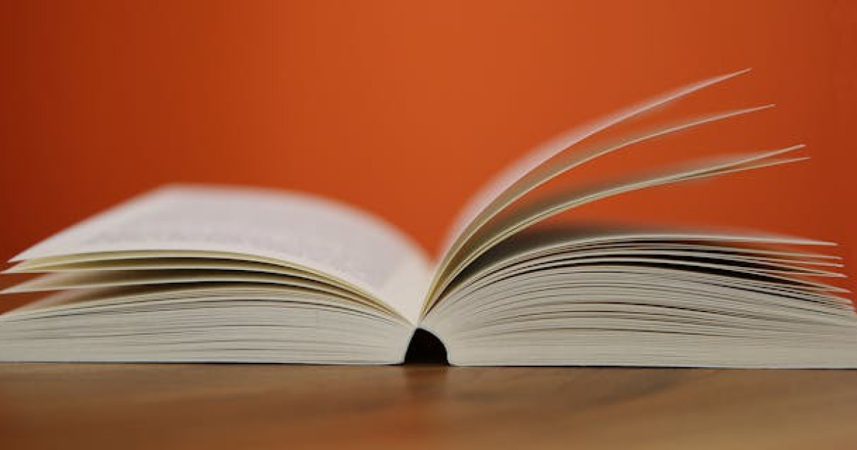 Η ΕΠΑΓΓΕΛΜΑΤΟΠΟΙΗΣΗ ΤΟΥ ΔΙΕΥΘΥΝΤΗ ΣΧΟΛΙΚΗΣ ΜΟΝΑΔΑΣ: ΑΠΟ ΤΗ